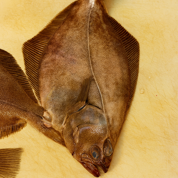 How to Clean Sole: Whole Fish Prep, Filleting & Easy Recipes