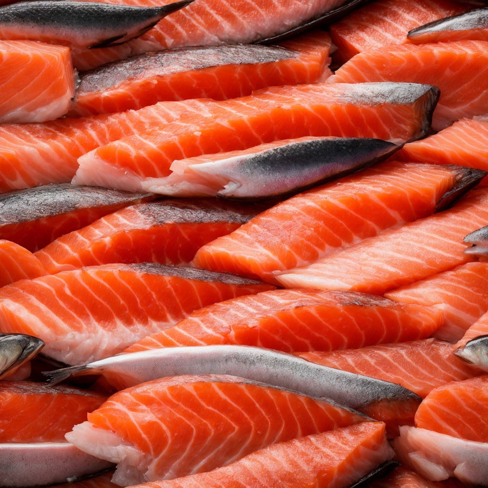 Fresh Alaskan Chum Salmon – Wild, Sustainable, and Delicious