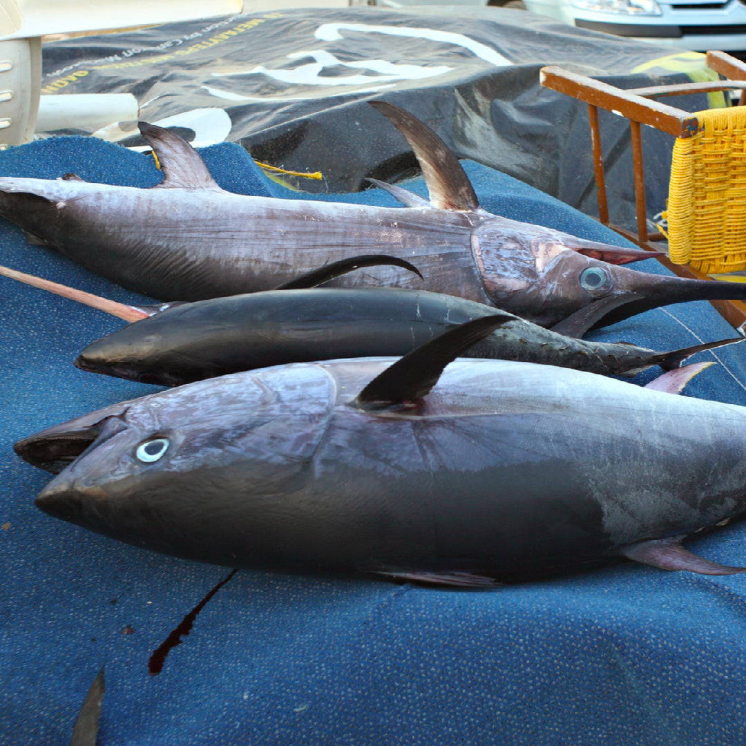 How to Cook Albacore Tuna in the Oven: A Simple and Delicious Recipe