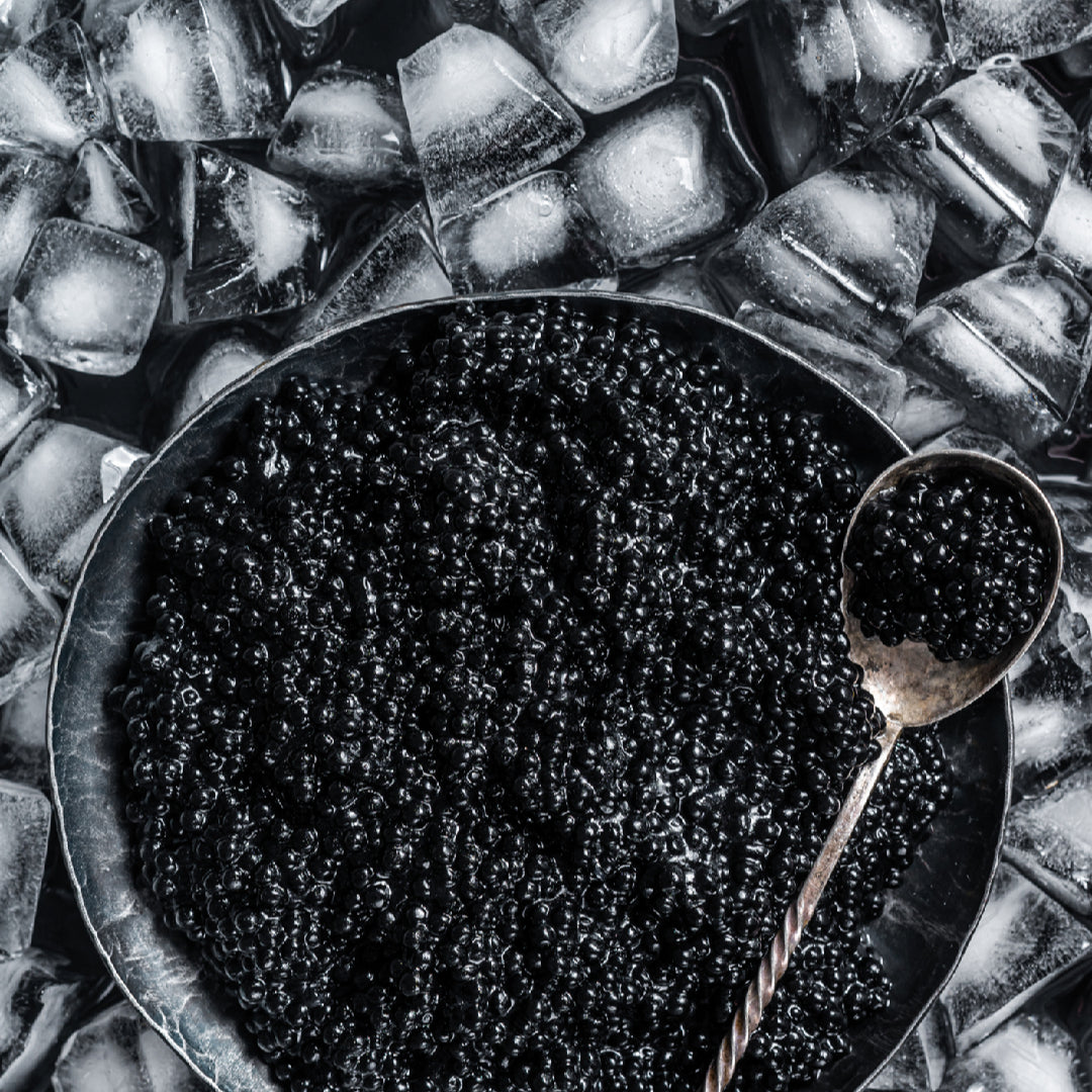 Top 5 Sturgeon Caviar Producers | Premium Sturgeon Caviar Guide