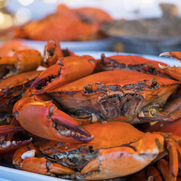 How to Make Crab Claw Cakes | Ultimate Guide with Recipe & Tips