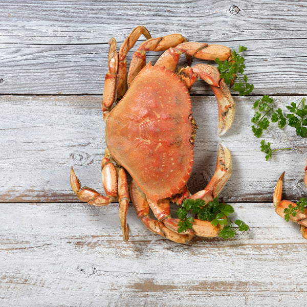 Storing Dungeness Crab Legs: Tips to Keep Them Fresh and Delicious