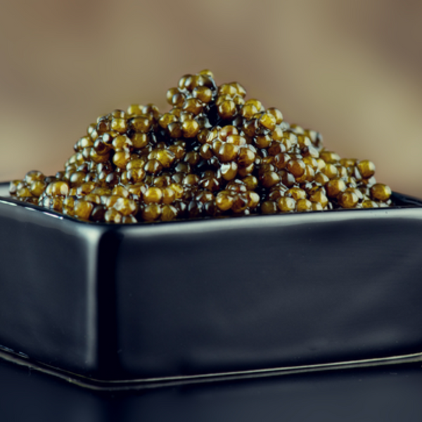 Hackleback Caviar: Exquisite Taste Without Breaking the Bank