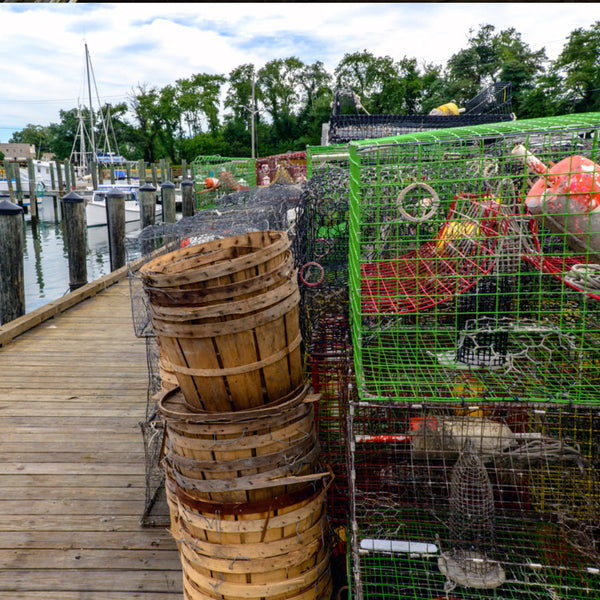 Best Crabbing Locations in Virginia | Top Spots for Catching Blue Crabs
