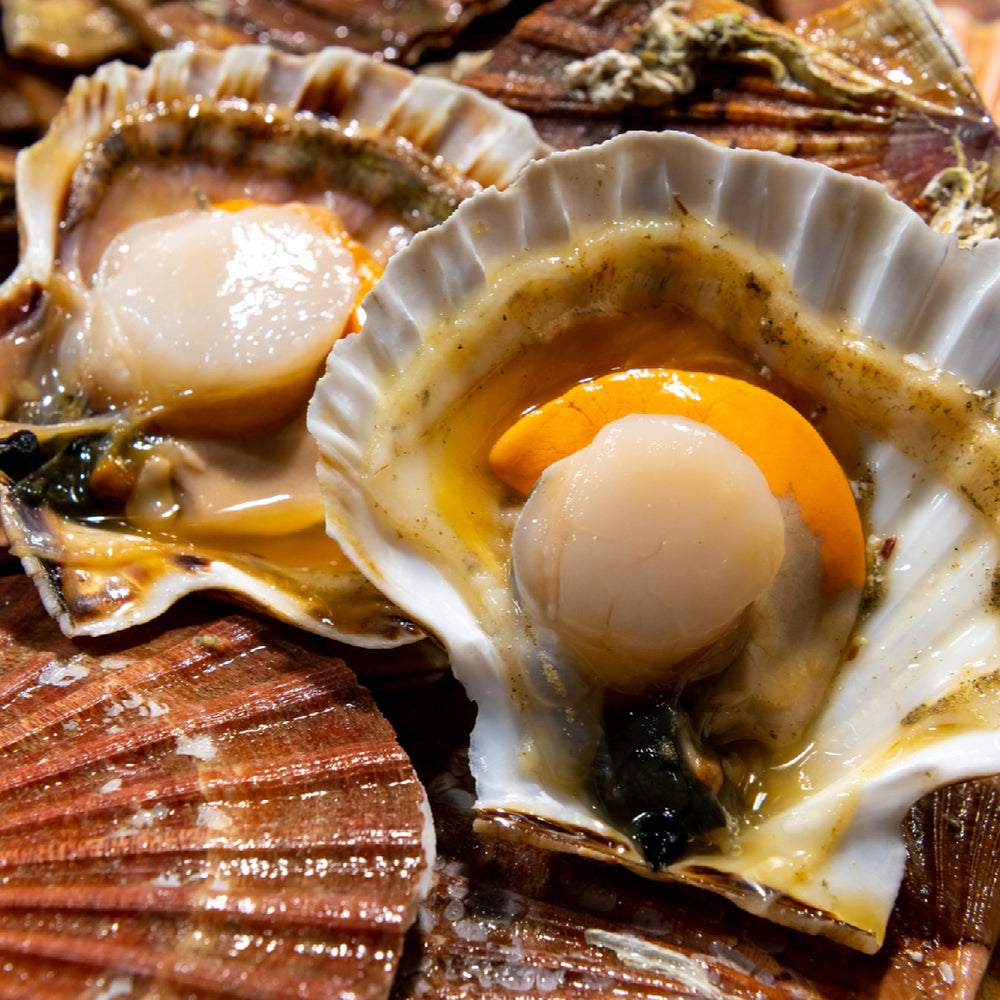 Delicious Diver Scallops with Garlic Butter Sauce: Easy Recipe Guide