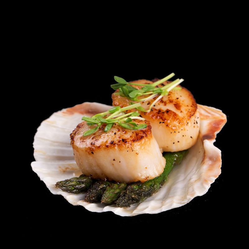 Delicious Diver Scallop Cakes Recipe: Tips, Tricks, and Pairings