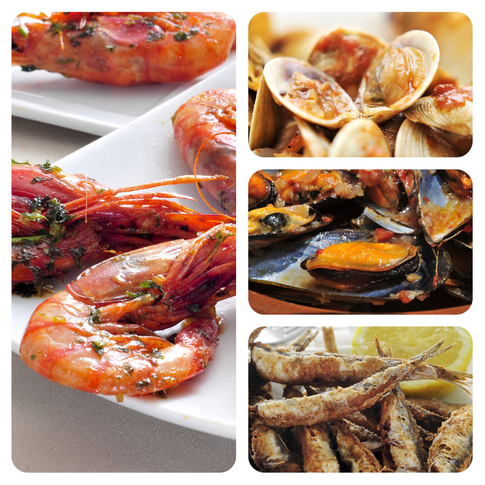 Delicious and Easy Seafood Recipes | Simple Home Cooking with Seafood