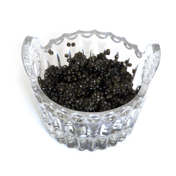 Premium Black Caviar: Elevate Your Seafood Dining with the Best Varieties