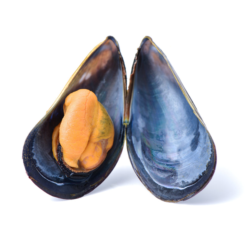 Mussels vs. Other Shellfish: The Ultimate Comparison for Seafood ...