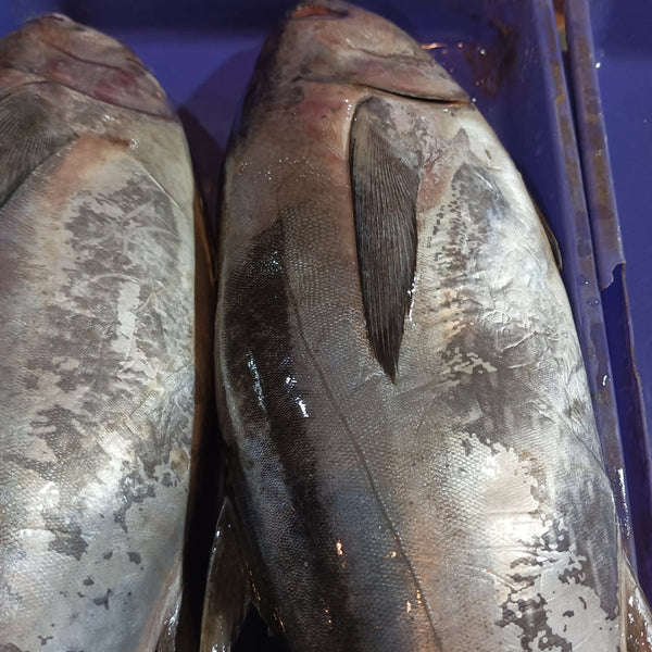 Smoked Bonito Tuna Side Dishes – Easy & Delicious Recipes to Try