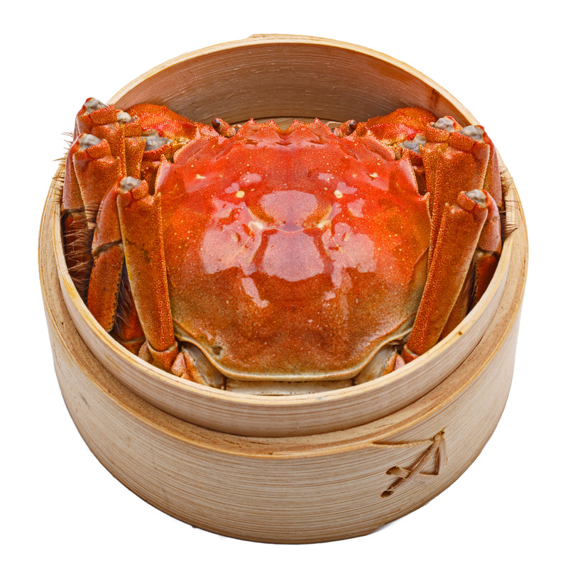 Best Red Crab Traps: Top Choices for King, Snow, and Dungeness Crabbing