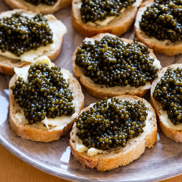Why Kaluga Caviar is a Smart Investment for Caviar Connoisseurs