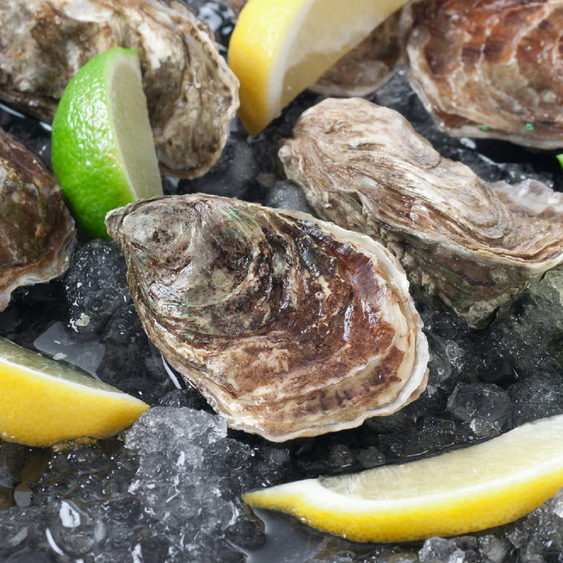 Top Oyster Cookbooks – Recipes and Tips for Perfect Oyster Dishes