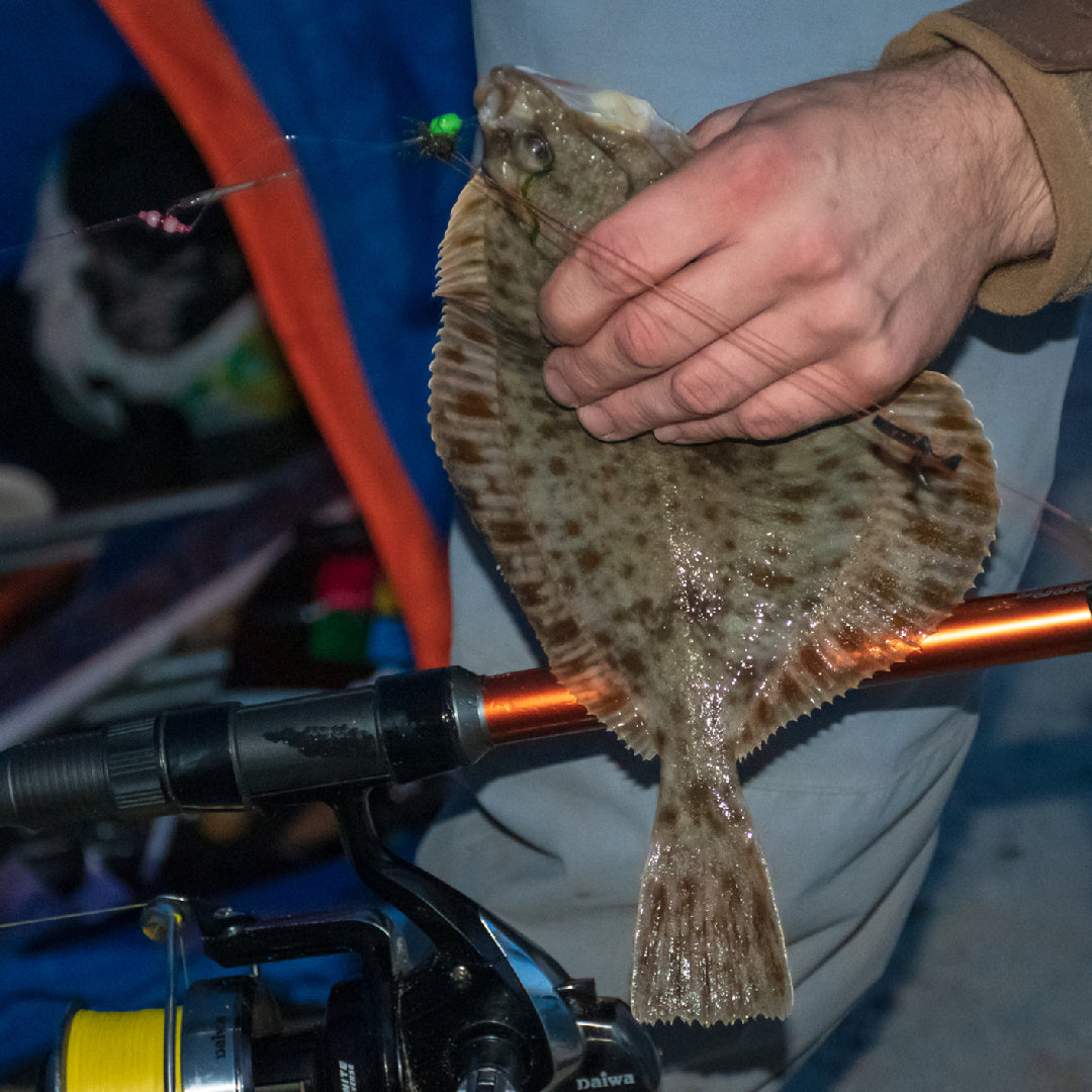 Petrale Sole – Sustainable, Healthy, and Easy to Cook Seafood