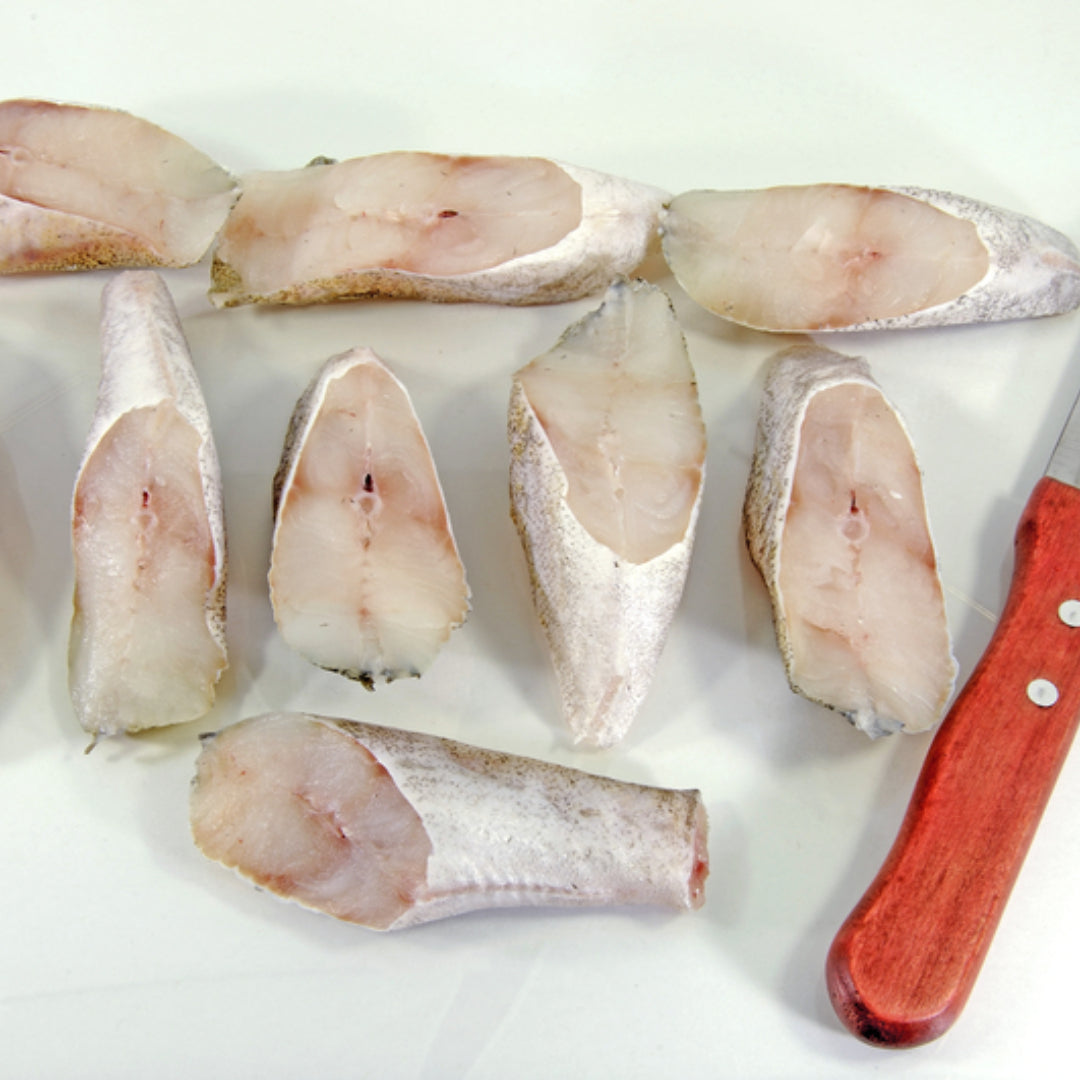 Pollock Fishing Techniques – Top Tips and Methods Explained