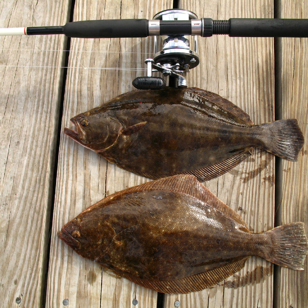 Petrale Sole Recipes: 10 Delicious Ways to Cook This Delicate Fish