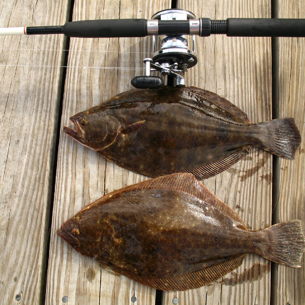 Petrale Sole Recipes: 10 Delicious Ways to Cook This Delicate Fish