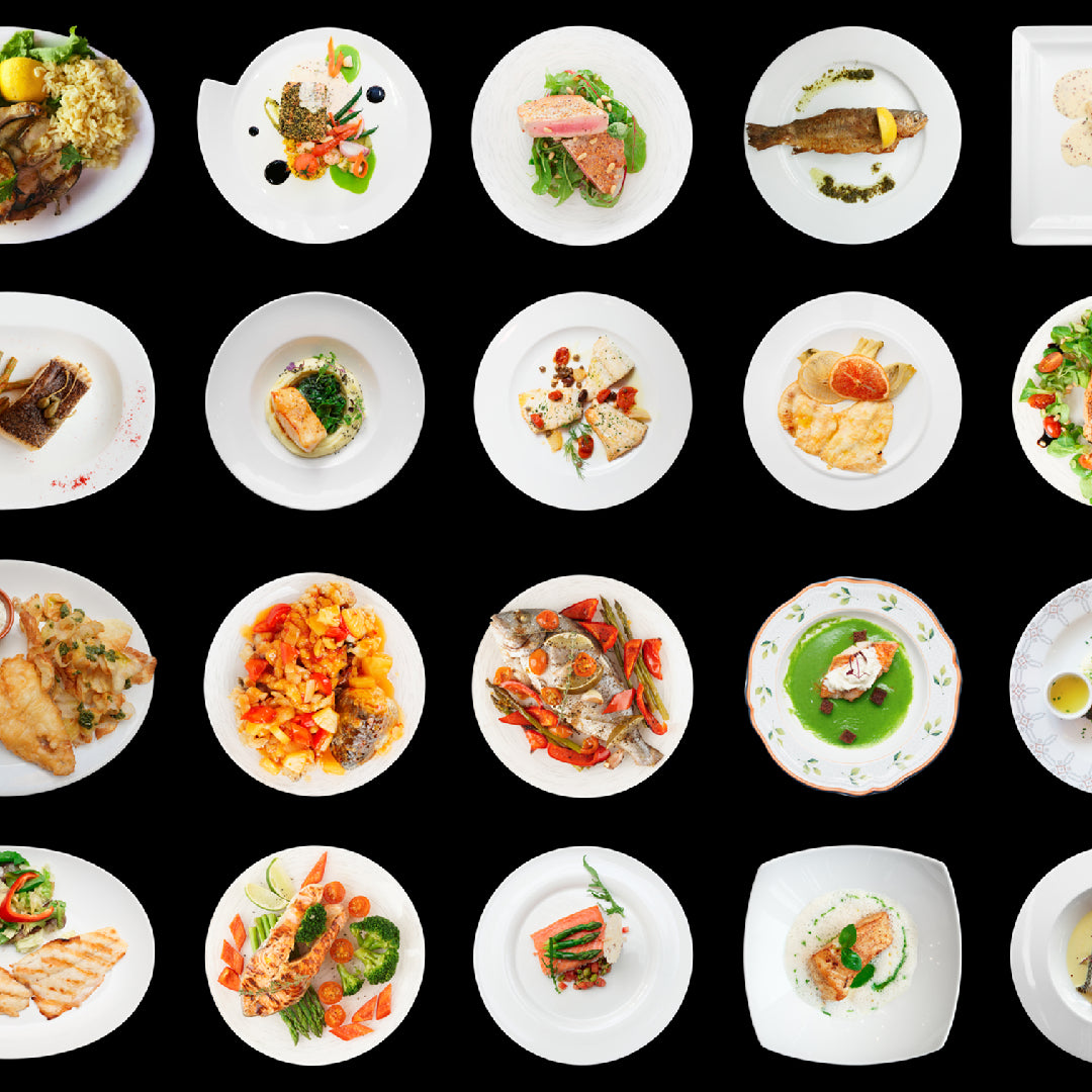 The Best White Sturgeon Fishing Rods for Beginners