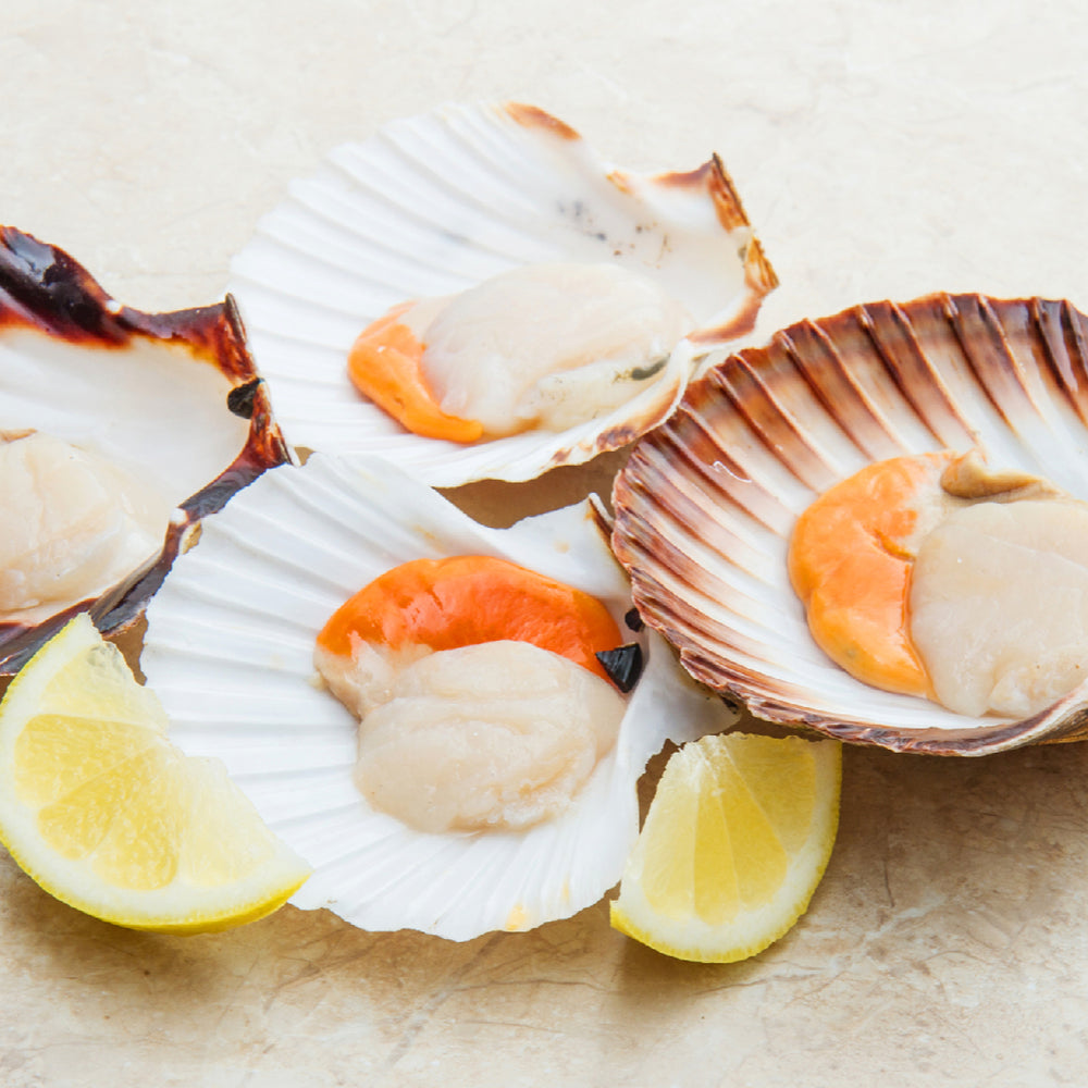 Live Scallops on Your Menu: Tips to Impress and Succeed