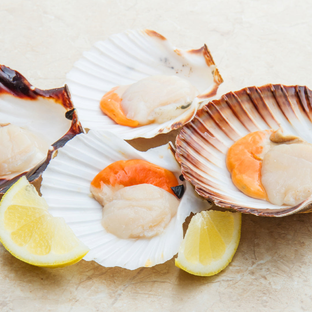Live Scallops on Your Menu: Tips to Impress and Succeed