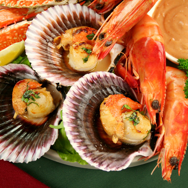 Seafood for Muscle Gain: How Adding Seafood to Your Diet Can Maximize ...