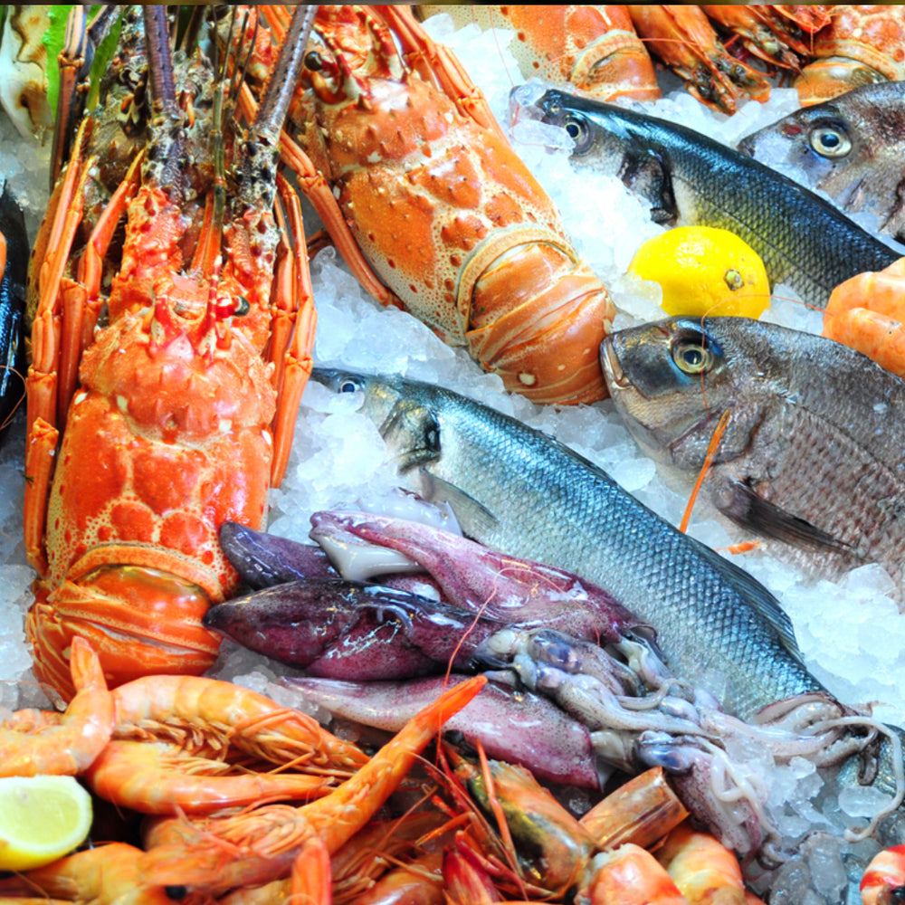 Top 10 Seafood Appetizer Recipes – Shrimp, Crab, and More