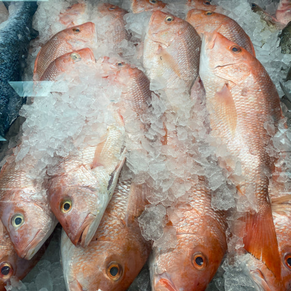 How to Grill Yellowtail Snapper | Sumptuous Seafood Recipe for Grilling