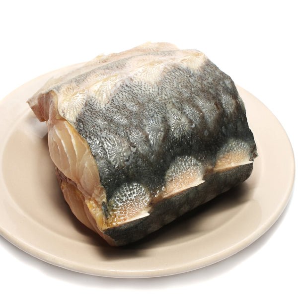 White Sturgeon Anatomy | Insights, Uses, and Conservation Efforts