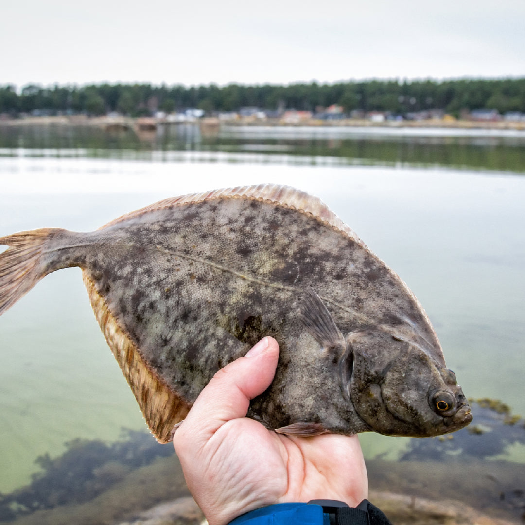 Top Petrale Sole Dishes from Around the World – Delicious Global Recipes