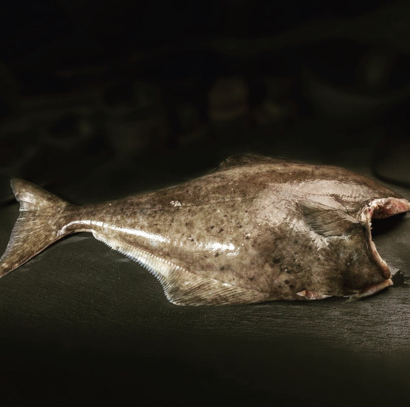 Premium White Fish Varieties | Global Seafoods - Fresh, Sustainable ...