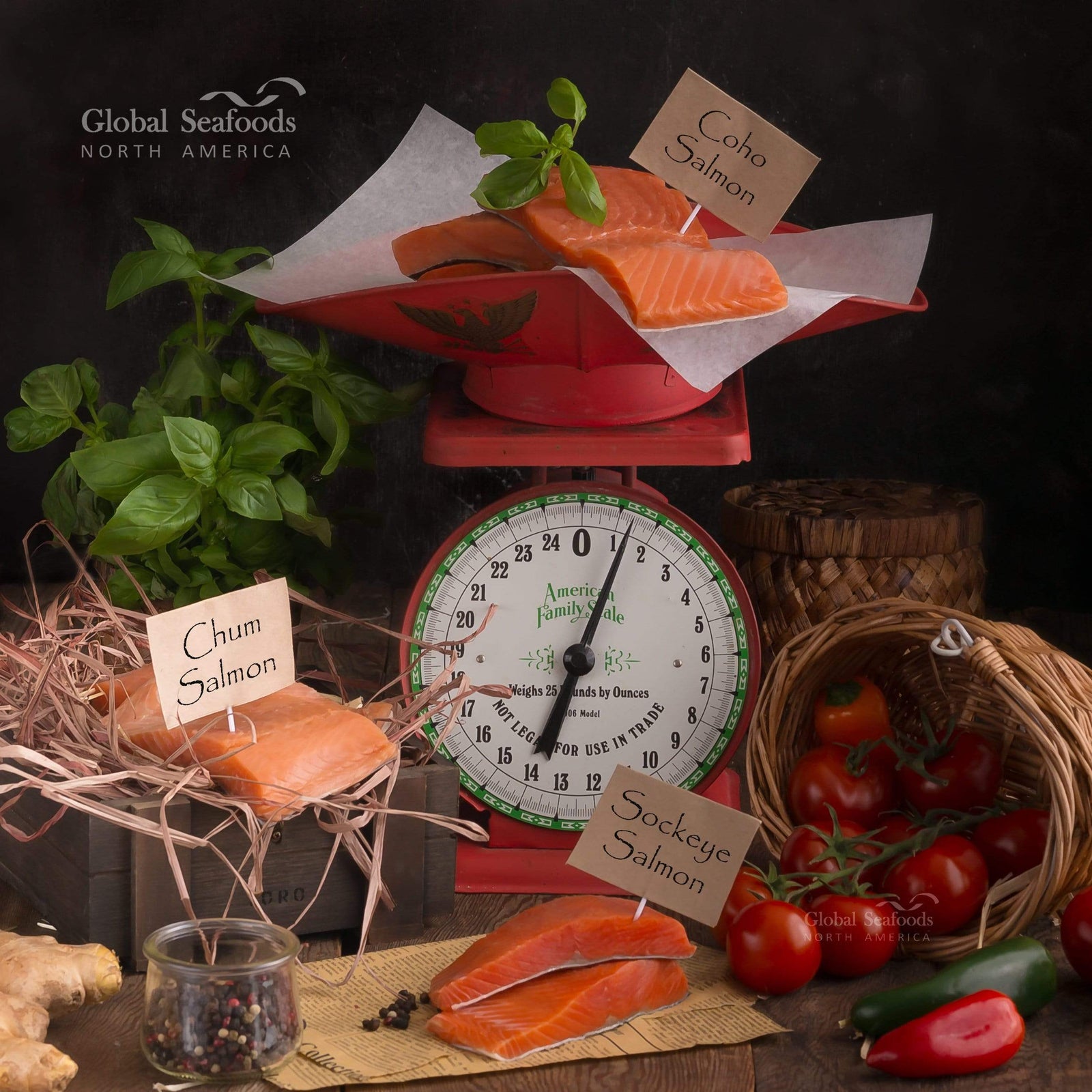 Buy Bristol Bay Seafood Sampler – Wild-Caught Alaskan Salmon | Global ...